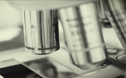 Barrett Formulas on the AL-Scan Viewer for NAVIS-EX ｜ NIDEK