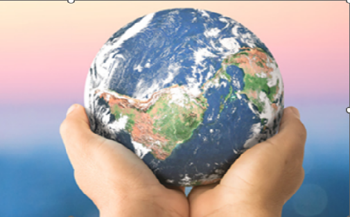 NIDEK launches the GS Viewer for NAVIS-EX ｜ NIDEK